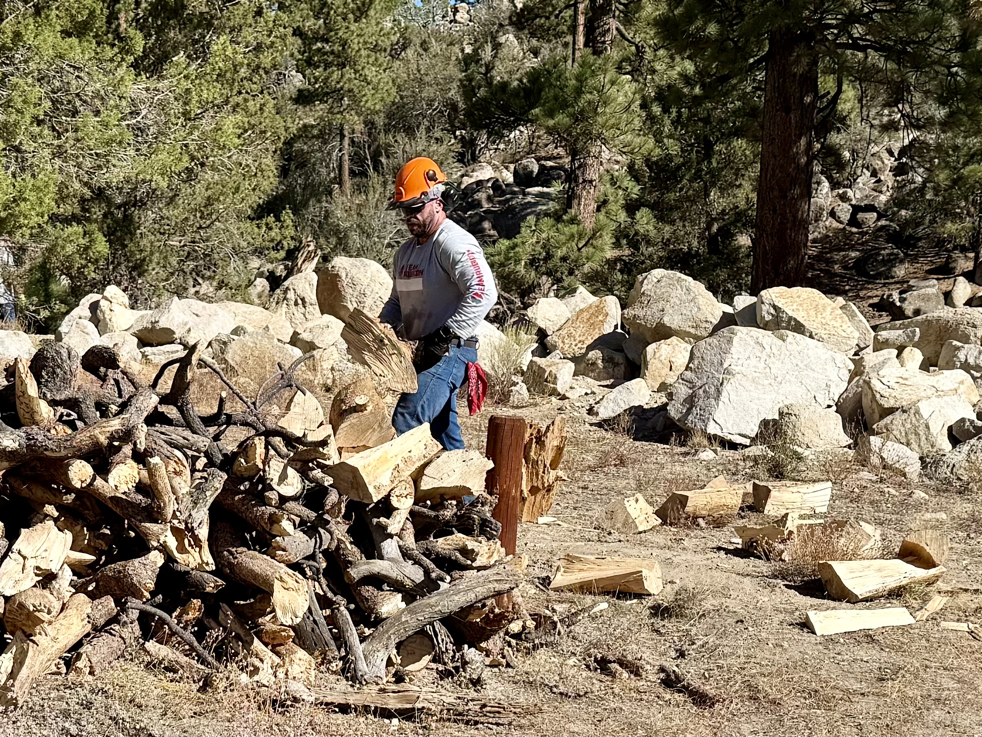 Team Rubicon Deploys 30 Volunteers for Fire Mitigation in Big Bear Lake